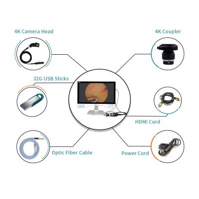 China 24 Inch 4K Endoscope Camera System with Built in Light Source & Video Recorder Function for sale
