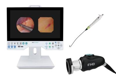 China 15'' All-in-One Full HD Endoscopy Camera System with Built-in LED Light Source for ENT and Urological Surgical Applications for sale