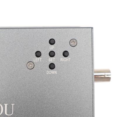 China TUYOU Doctor Use Portable 1080P Endoscope Converter Box Imaging system with 2-Port for ENT for sale