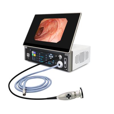 China Foldable All-in-One Endoscope Camera System with 4K Ultra-HD, 120W LED Light Source, and Multi-Screen Synchronization for sale