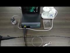 TUYOU Fabriek Flexibel Gastroscoop Colonoscoop Endoscoop Camera Systeem Voor Huisdieren Gastro-intestinale Diagnostiek