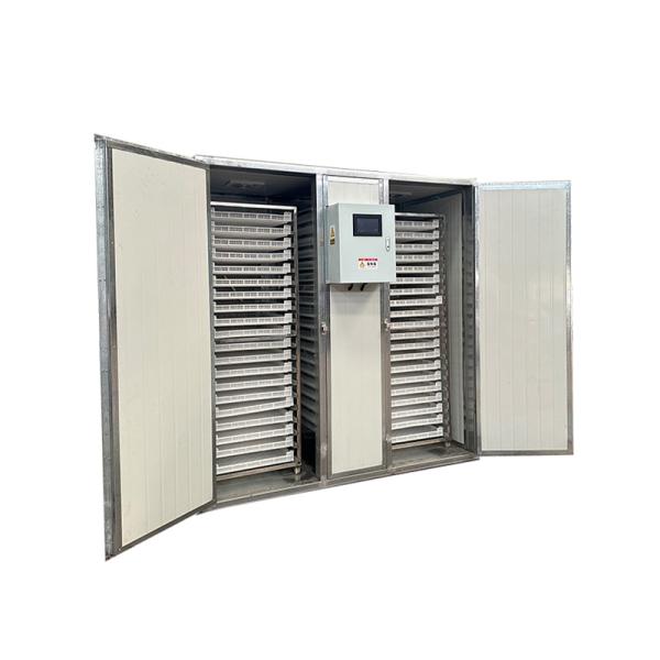 Quality Multifunctional Electric Commercial Dehydrator Oven Fruit And Vegetable for sale