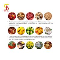 China Low Temperature Food Processing Dehydration Machine Vegetable Pumpkin Eggplant Drying Cabinet for sale