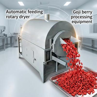 China Longan And Goji Berry Rotary Drying Equipment Small Automatic Feeding Mini Rotary Dryer for sale