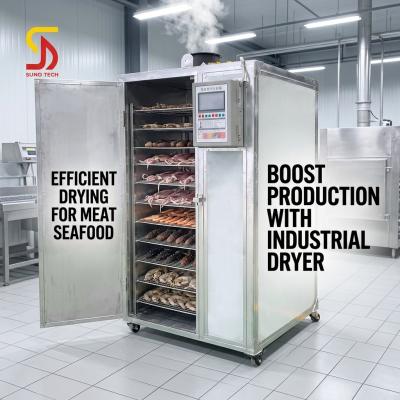 China Fish Drying Oven Beef Drying Oven Fruit Drying Oven Herb Drying Oven for Seafood Meat Processing for sale