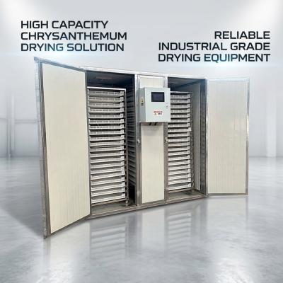 China Customized Automatic Batch Industrial Food Dehydrator For Peppermint Leaf And Chrysanthemum for sale