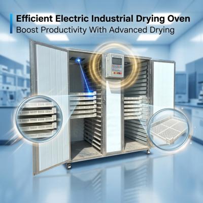 China Electric Heating Industrial Drying Oven For Nut Almond Coffee Bean Walnut for sale