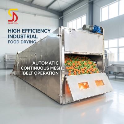 China High Efficiency Automatic Mesh Belt Dryer for Industrial Food and Vegetable Drying with Energy Saving Features for sale