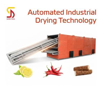 China Automatic Multifunctional Mesh Belt Dryer with High Safety Level for Continuous Drying of Grains and Tea for sale