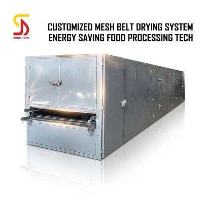 China Customized High Efficiency Low Cost Mesh Belt Dryer for Food Vegetable Fruit Dehydration for sale