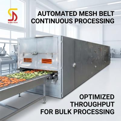 China Automatic Multifunctional Energy Saving Mesh Belt Dryer for Food and Chemical Processing for sale
