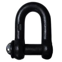 China Customized Sized Acceptable Suspension Chains D Shackle Rigging for sale