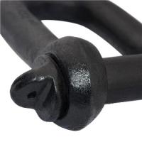 China Customized Sized Acceptable Suspension Chains D Shackle Rigging for sale