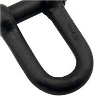 China Customized Sized Acceptable Suspension Chains D Shackle Rigging for sale