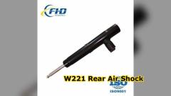 Mercedes S Class W221 Rear Air Shock Strut