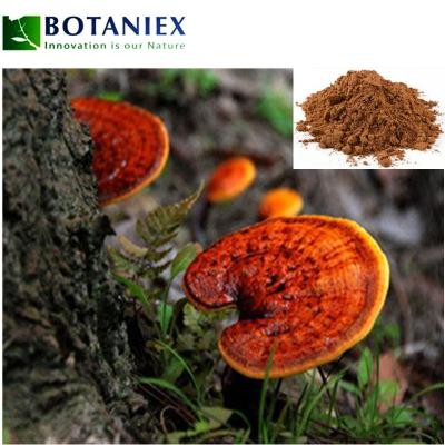 China Best Quality Duanwood Red Reishi Mushroom Extract Powder Lingzhi Extract Ganoderma Lucidum Extract for sale