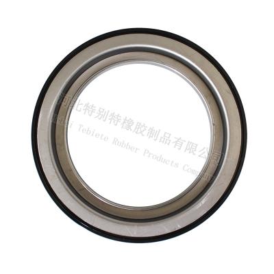 Cina OEM 456112A Maintenance Free Oil Seal Fuwa Axle 20T Semi Trailer Oil Seal 137x200x20 in vendita