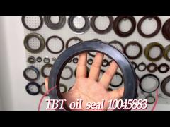 No.10045887 / 85148669 / 393-0173 Oil Seal For Conmet /VOLVO /Dongfeng Heavy Duty Truck