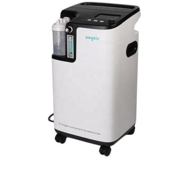 Cina concentratore portatile medico dell'ossigeno 220V 5 litri al minuto in vendita
