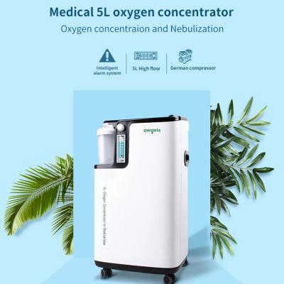 Cina Grado medico a basso rumore di elevata purezza del concentratore 96% dell'ossigeno di Owgels 5L in vendita