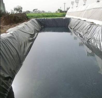 China 1.5mm Impermeable HDPE Pond Liner Geomembrane price for Fish Farming tank liners for sale