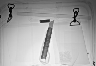 Cina 768*576 Pixels 4000 Pulses Portable Xray Scanner CE Certificate in vendita