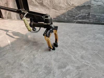 中国 機能の望遠鏡のマニピュレーター把握容量20kgの目的の4.7mの立場 販売のため