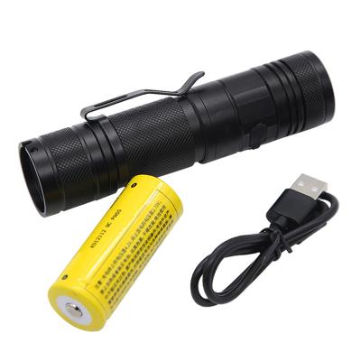 Cina Piccolo carico di Mini Size USB delle torce elettriche di TED Torch 650lm in vendita