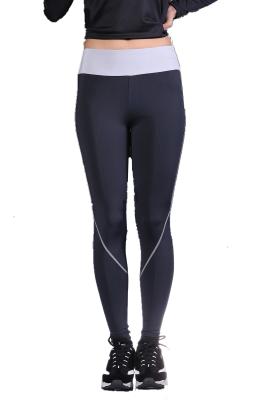 China CPG Global Women's Fitness Legging Sport Running Pants Yoga Super Slim P20 for sale