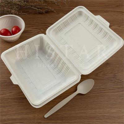 China Disposable biodegradable and compostable tableware Takeaway Food Box for sale