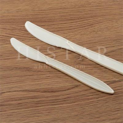 China Sustainable Disposable Cake Knife Organic Healthy Natural Food Knife for sale