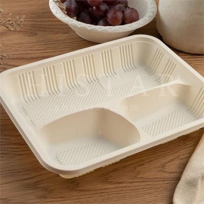 China Eco Friendly Natural color Food Tray Disposable 3 Compartment Food Meal Box for sale