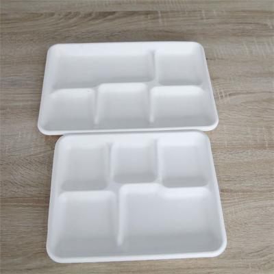 China compostable white color Food container Disposable Recyclable 5 Compartment Food Trays for sale