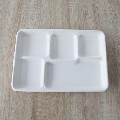 China disposable sturdy food tray Compostable White Color Food Container for sale