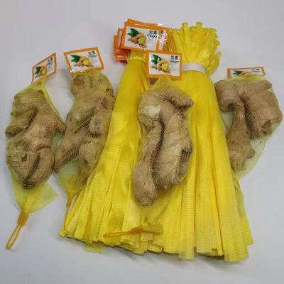 中国 タマネギ レモンPEの網の網はフルーツの卵のためのロール パッキングの重量1kgを袋に入れる 販売のため
