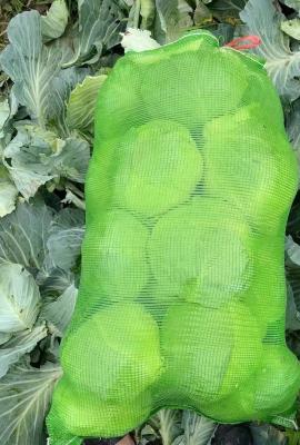 Cina Cavolo d'imballaggio del cordone di plastica verde dei pp Mesh Netting Bags For Corn in vendita