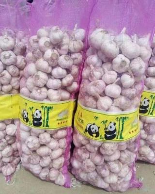 Cina Borse nette d'imballaggio dell'aglio fresco della cipolla per frutta & la verdura in vendita