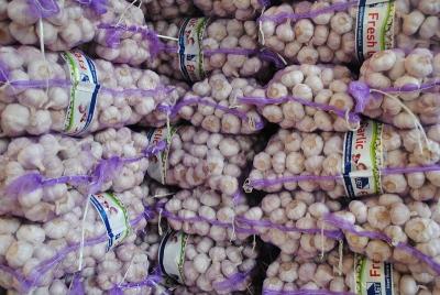 Cina HDPE Mesh Netting Bags Round tubolare tessuto pianura in vendita