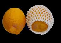 China EPE Foam Net Sleeve For Fruit & Vegetable Packing for sale