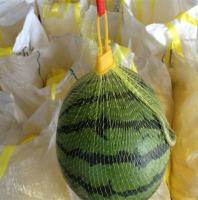 China Fruits / Vegetables Mesh Netting Bags PE Material Solid Structure Long Lifespan for sale