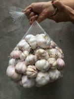China Ginger Packaging Mesh Netting Bags PE Material Extruted Bottom Sealed UV Resistant for sale