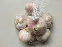 China Ginger Packaging Mesh Netting Bags PE Material Extruted Bottom Sealed UV Resistant for sale