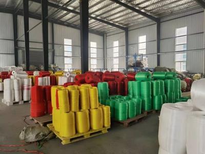 China LDPE-plastic mesh zakken voor het verpakken van eieren, groenten en fruit Te koop