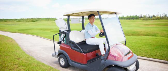 El carro de golf largo completa un ciclo la batería 48V 100Ah 200Ah de la vida EV LifePo4