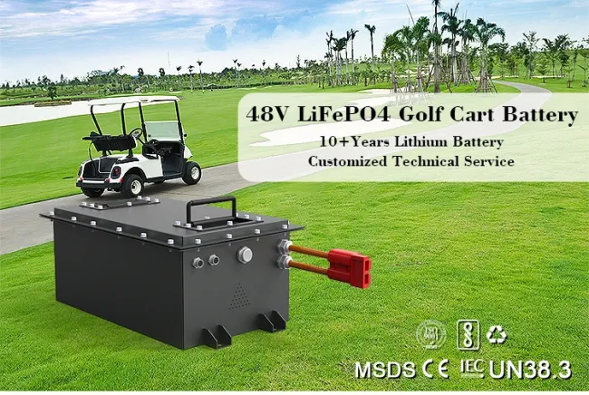 Cts Wholesale 72V 36V 48 Volt Lithium Ion Batterie 50ah 100ah 105ah 160ah LiFePO4 Battery 48V 100ah Golf Cart Batteries
