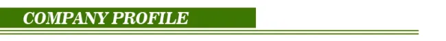 Customizable 12V Lithium Battery Packs 48V, Li Ion Batteries 72V 20ah 30ah 40ah