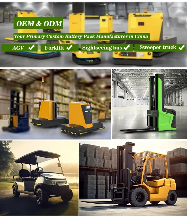 Cts Rechargeable 48V200ah 280ah 300ah LiFePO4 Lithium Ion Battery with Bluetooth for Agv Forklift