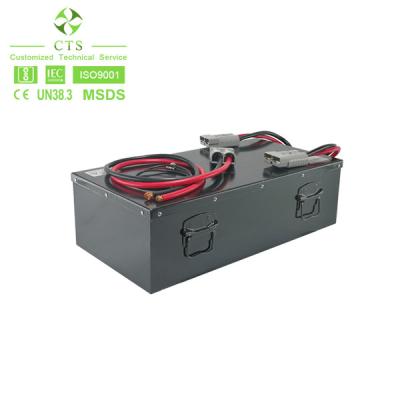 China OEM Lithium Ion EV Battery Customized 24V 48V 100Ah 300Ah Deep Cycle for sale