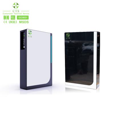 Cina Litio Ion Batteries 5kwh 48V 100Ah di immagazzinamento dell'energia Lifepo4 fissato al muro in vendita