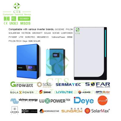Cina Litio Ion Batteries 5kwh 48V 100Ah di immagazzinamento dell'energia Lifepo4 fissato al muro in vendita